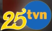 TVN (Poland)/Other | Logopedia | Fandom