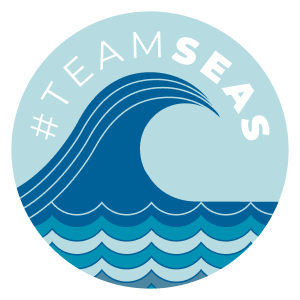 Team Seas | Logopedia | Fandom