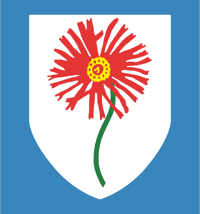 Blue Bulls | Logopedia | Fandom