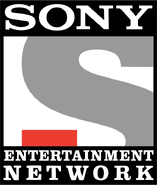 Sony Pictures Networks India | Logopedia | Fandom