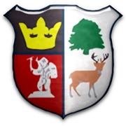 Cinderford Town FC | Logopedia | Fandom