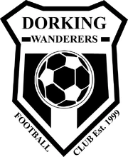 Dorking Wanderers FC | Logopedia | Fandom