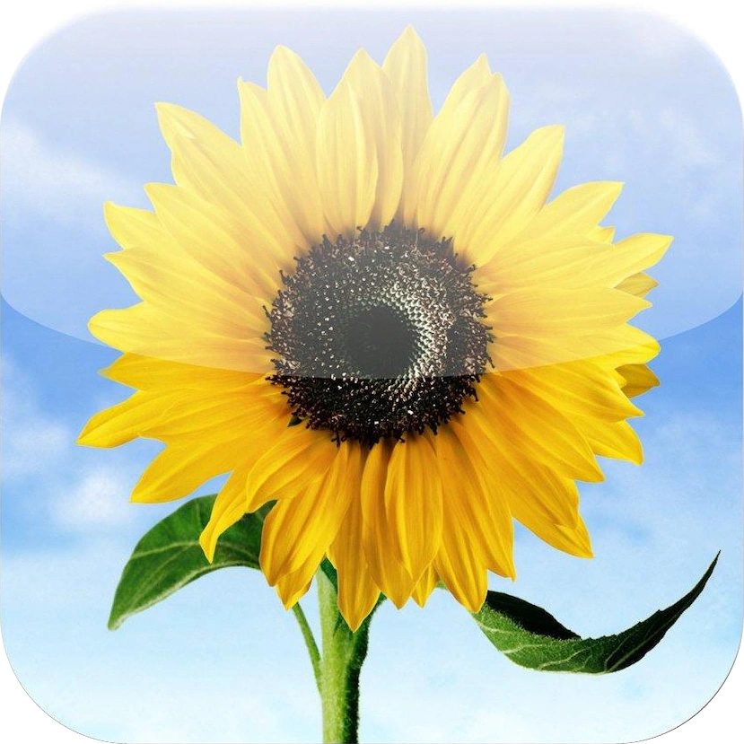 Apple Photos (iOS) | Logopedia | Fandom