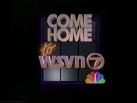 WSVN/Other | Logopedia | Fandom