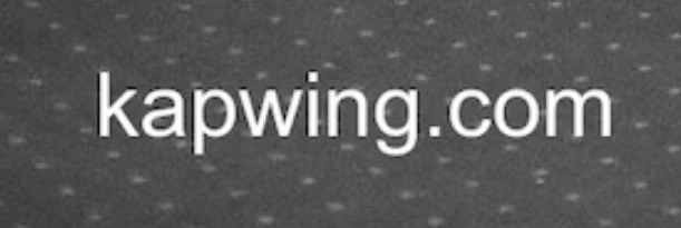 Kapwing | Logopedia | Fandom