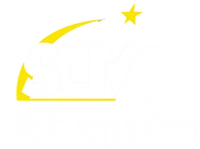 SCTV4 | Logopedia | Fandom