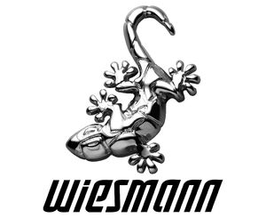 Wiesmann | Logopedia | Fandom