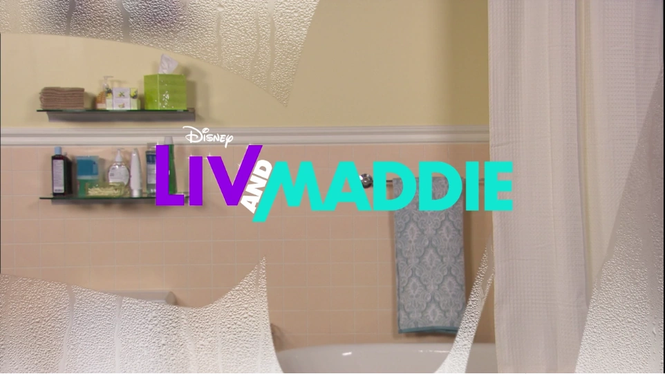 Liv And Maddie Lego