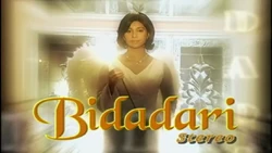 Bidadari | Logopedia | Fandom