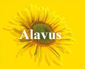 Alavus | Logopedia | Fandom