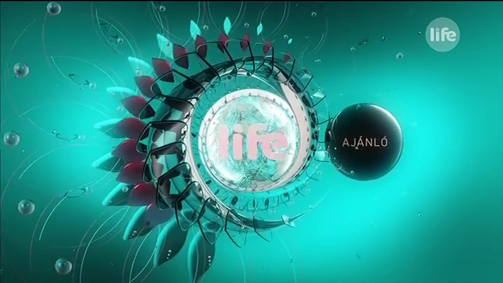 Life TV (Hungary) | Logopedia | Fandom