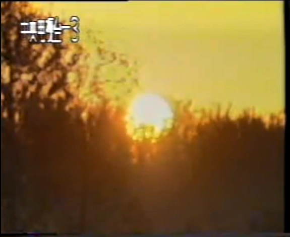 CCTV-3 | Logopedia | Fandom