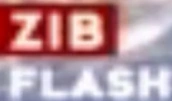 ZIB Flash | Logopedia | Fandom