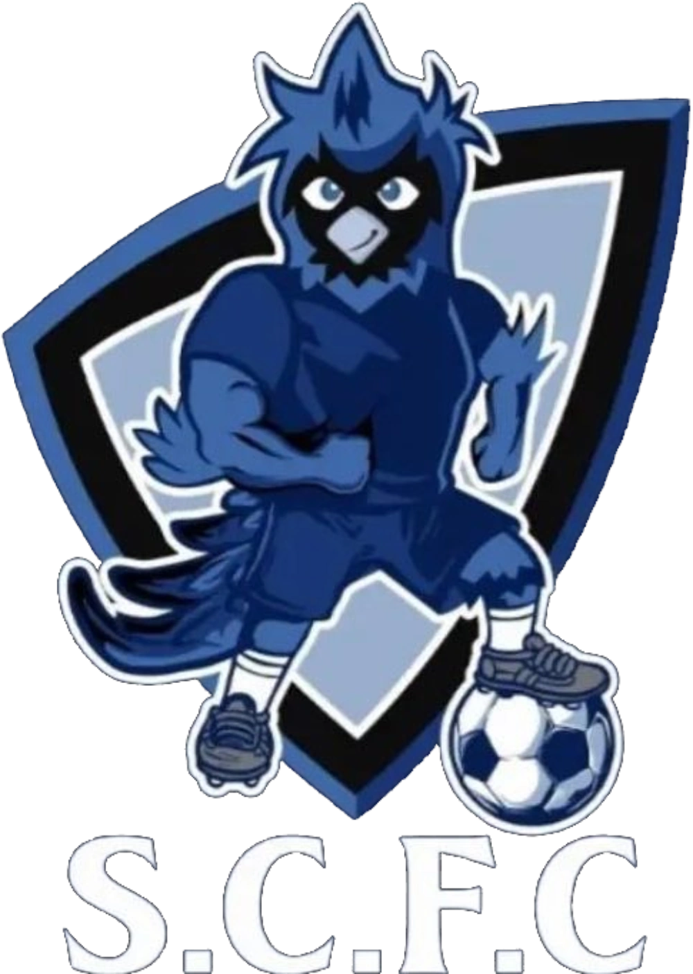 São Caetano Futebol | Logopedia | Fandom