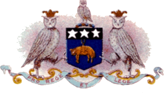 Leeds City | Logopedia | Fandom