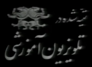 IRIB TV2 | Logopedia | Fandom