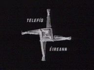 RTÉ One/Other | Logopedia | Fandom