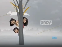 Antv/Other | Logopedia | Fandom