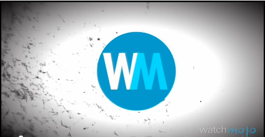 WatchMojo.com | Logopedia | Fandom