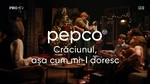 Pepco | Logopedia | Fandom