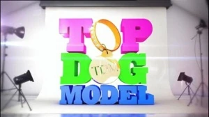 Top Dog Model | Logopedia | Fandom