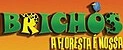 Brichos: A Floresta é Nossa | Logopedia | Fandom