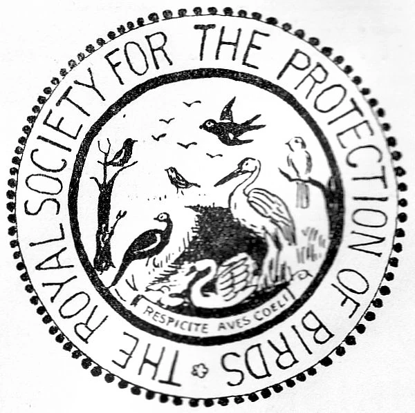 RSPB | Logopedia | Fandom