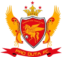 Pro Duta FC | Logopedia | Fandom