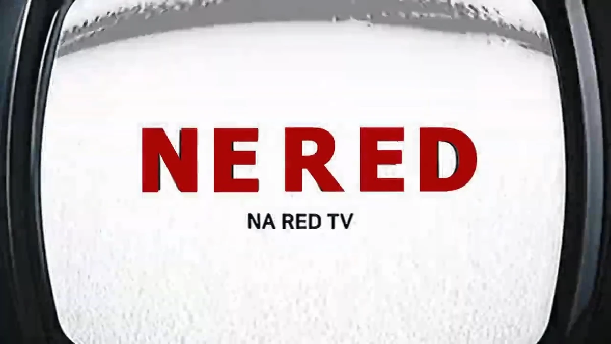 NeRed | Logopedia | Fandom