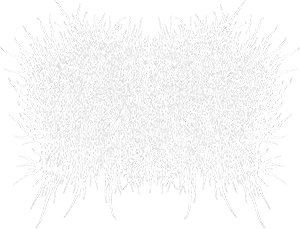 Xavlegbmaofffassssitimiwoamndutroabcwapwaeiippohfffx | Logopedia | Fandom