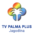 TV Palma plus | Logopedia | Fandom