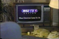 WBZ-TV | Logopedia | Fandom