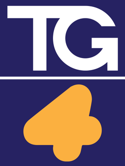 TG4 (Italy) | Logopedia | Fandom