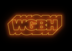 Wgbh 2 Logo