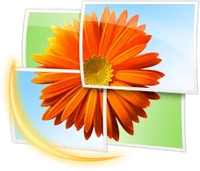 Windows Photo Gallery | Logopedia | Fandom