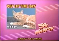 WNUV | Logopedia | Fandom