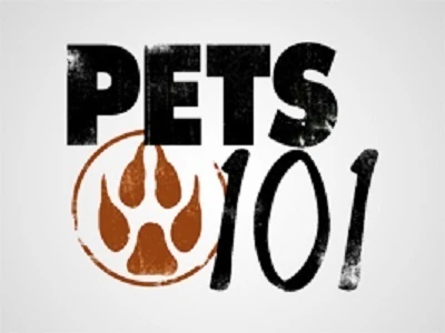 Pets 101 | Logopedia | Fandom