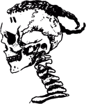 XXXTentacion | Logopedia | Fandom