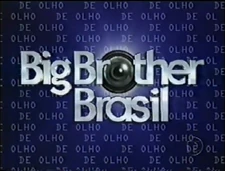 Big Brother Brasil/Rede BBB | Logopedia | Fandom