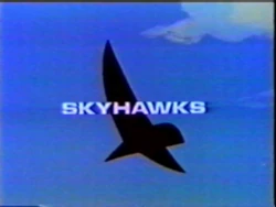 Skyhawks | Logopedia | Fandom