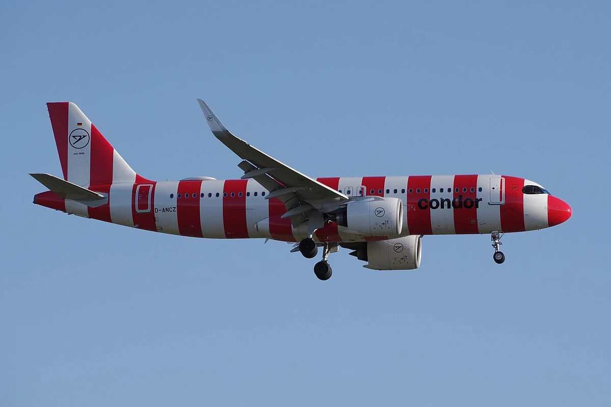 Condor (airline)/Other | Logopedia | Fandom