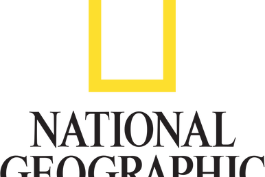 Logotipo Del Canal National Geographical National Geographic Logo