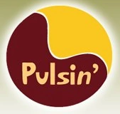 Pulsin | Logopedia | Fandom