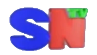 SNTV (Vietnam) | Logopedia | Fandom