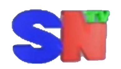 SNTV (Vietnam) | Logopedia | Fandom