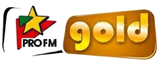 Pro FM Gold | Logopedia | Fandom