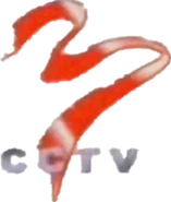 CCTV-3 | Logopedia | Fandom