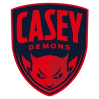 Casey Football Club | Logopedia | Fandom