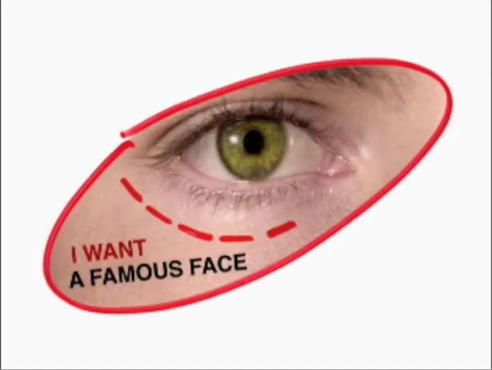 I Want a Famous Face | Logopedia | Fandom