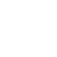 TNT (United States)/Other | Logopedia | Fandom